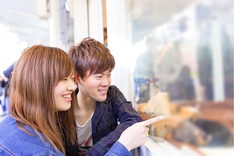 Vatican Treasures: Family Journey Through Art & History Vatican Museum